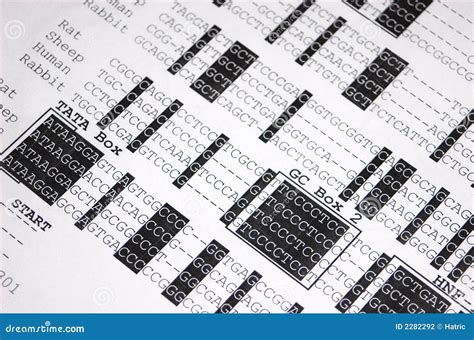 Analysis Of Dna Sequences In Genetic Laboratory Medical Research In