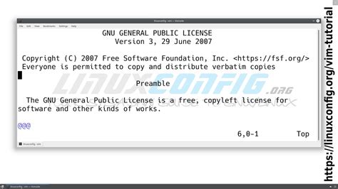 Vim Editor Delete Lines Youtube