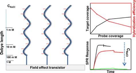 Estimating Detection Limits Of Potentiometric Dna Sensors Using Surface Plasmon Resonance