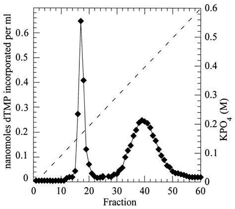 Separation Of Native B Subtilis Pol Ii And Pol Iii By Deae Cellulose