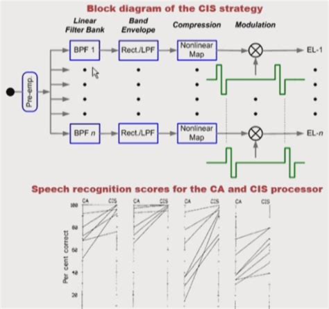 Npe Cochlear Implants Speech Processing Strategy Medical Programmer