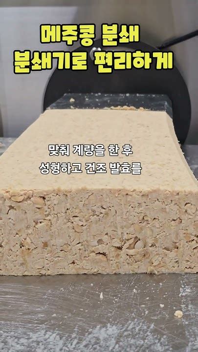 메주콩성형 분쇄기로편리하게 발효식품을 연구하는 오가농원 국산콩 메주 대원콩 Shorts Youtube