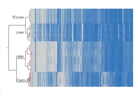 Hierarchical Clustering Of Rna Seq Data From Primary Cultured Liver