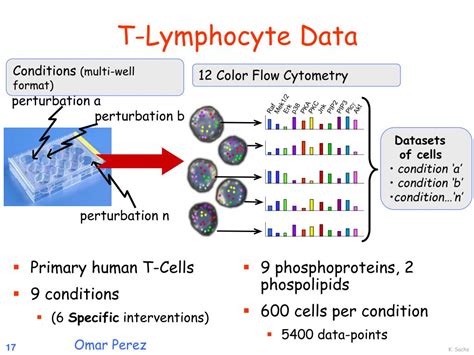 Ppt Bayesian Network Models Of Biological Signaling Pathways Powerpoint Presentation Id 3085086