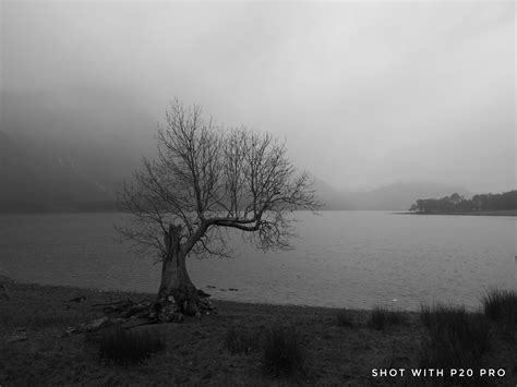 Does The Lack Of A Monochrome Sensor Make The Huawei Mate 20 Pro A Downgrade Techgoondu