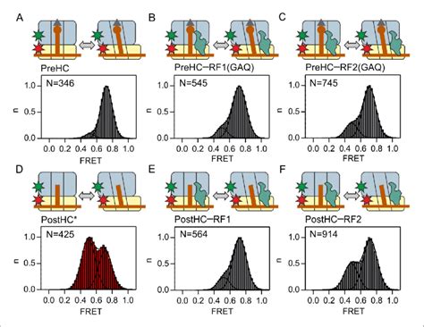 Subunit Rotation Of Termination Complexes In The Presence Of Release Download High