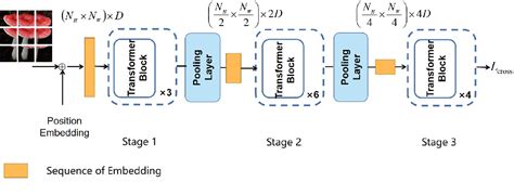 Figure 2 From A Multi Stage Vision Transformer For Fine Grained Image Classification Semantic