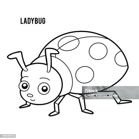 สมุดระบายสี เต่าทอง ภาพประกอบสต็อก ดาวน์โหลดรูปภาพตอนนี้ ด้วงเต่าลาย ด้วง โครงร่าง