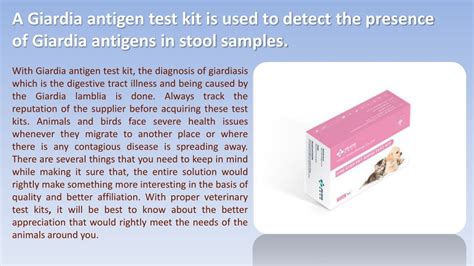 Ppt Giardia Antigen Test Kit Powerpoint Presentation Free Download