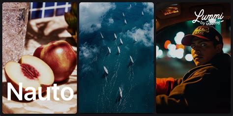 Nauto Images — Free Hd Download On Lummi