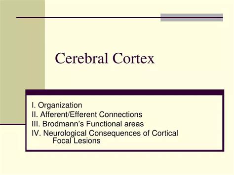 PPT Cerebral Cortex PowerPoint Presentation Free Download ID 4730172