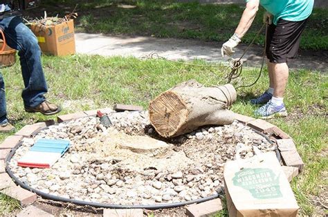 How To Cut Down A Tree Safely A Butterfly House