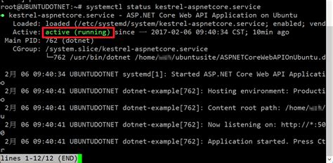 在 Linux Ubuntu 作業系統掛載 Aspnet Core 應用程式為 Linux 服務