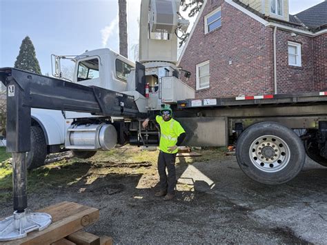 About Professional Tree Services Get Help Today — Guilty Of Treeson
