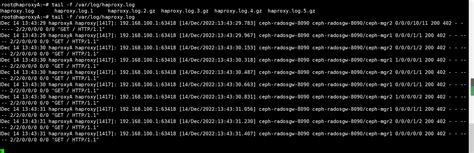 Ceph radosgw的基本使用 PunchLinux 博客园