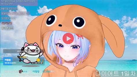 애국버튜버 해블린 치지직 에펨코리아