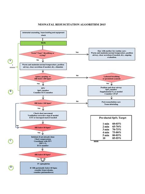 Neonatal Resuscitation Algorithm 2015 1 Minute Pdf Cardiopulmonary Resuscitation
