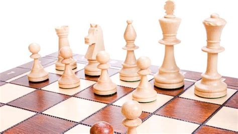 Chess For Beginners Complete Guide StudyBullet