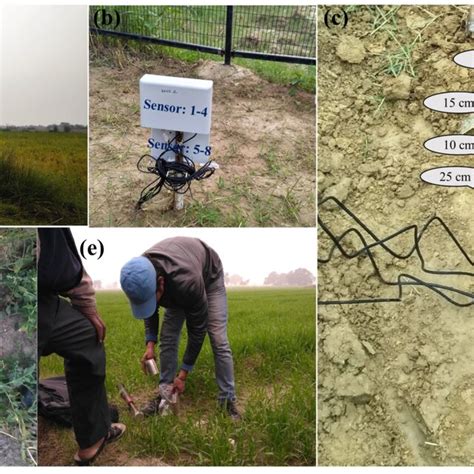 Field Photographs Showing A Automatic Weather Station Aws Download Scientific Diagram