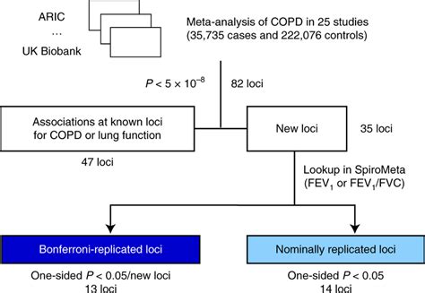Obstructive Lung Disease Copd