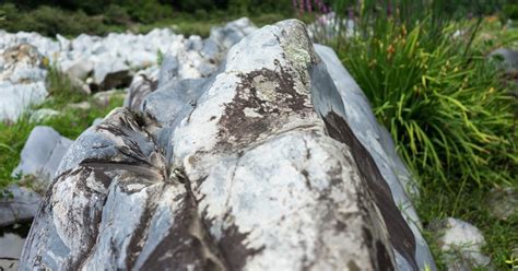 여름 휴가 천천히 보내고 싶은 사람들 여기로