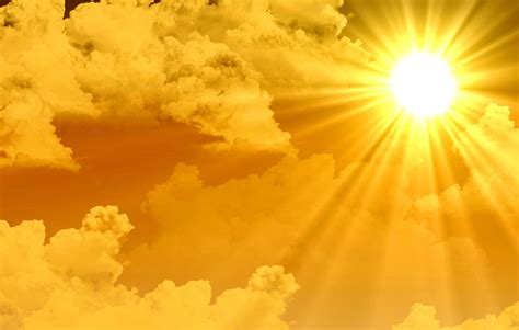 Three Reasons I Love Cooking With Sunshine • Everyday Cheapskate