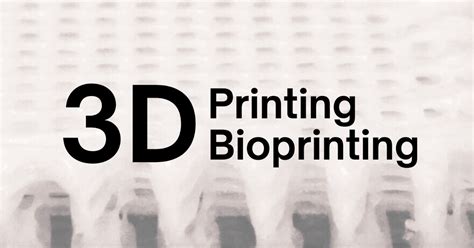 3d Printing Or Bioprinting Navigating The Difference Next Big Innovation Labs®
