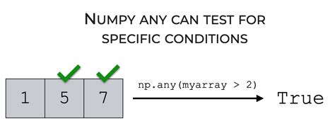 Numpy Any Explained Sharp Sight