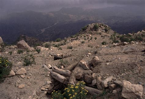 A Glance At Eritrea S Ancient History