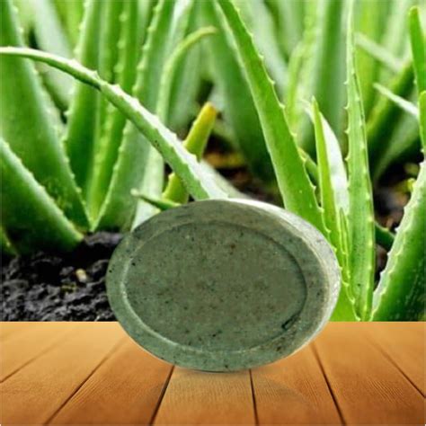 Aloe Vera Neem Soap Kelapa Natural