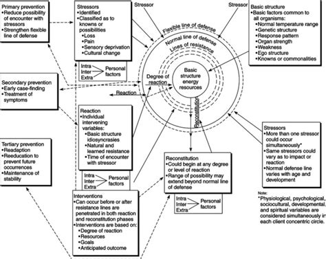 [diagram] Neuman Systems Model Diagram Mydiagram Online