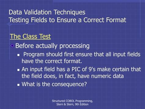 PPT CHAPTER Data Validation Techniques PowerPoint Presentation Free Download ID