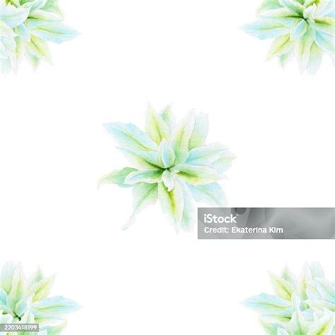 아름다움 백합 흰 꽃 수채화 완벽 한 패턴 흰색 배경에 고립 카드 포스터 스티커 부활절 세례 봄 어머니의 날 웨딩 카드에 완벽한 고품질 클립 아트 개화기에 대한 스톡 벡터