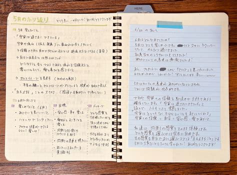 【バレットジャーナル】5月の振り返りと6月のセットアップ 感覚をつかむ、みがく Selpit（セルピット）