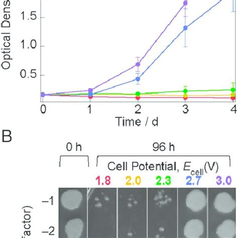 Cell Growth Of R Eutropha A Time Course Of R Eutropha Cell Growth Download Scientific