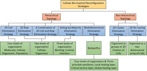 Cellular Bio Inspired Reconfiguration Methods Download Scientific