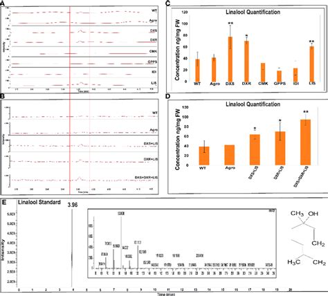 gc q oribtrap ms linalool profiling and quantification for individual