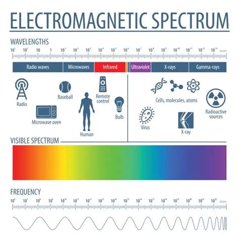 Free Electromagnetic Spectrum Vector Images And Graphics Freeimages