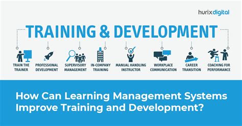 How Can Learning Management Systems Improve Training And Development