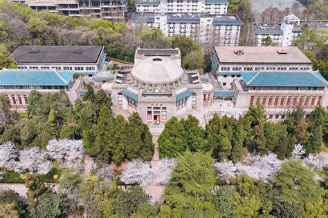 武汉大学樱花盛开，这座百年学府充满了静谧和唯美，宛如童话世界建筑校园武大