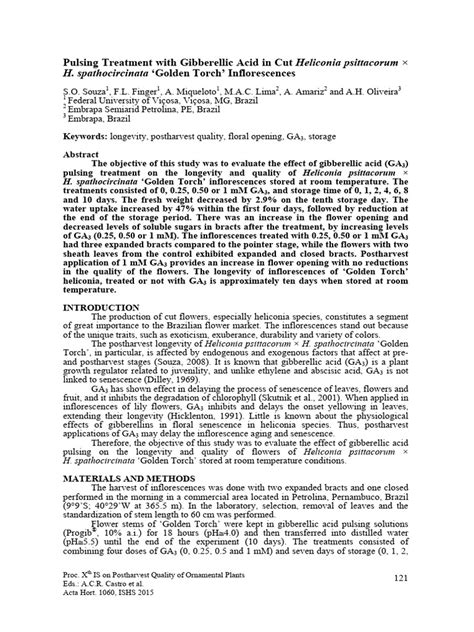 Pulsing Treatment With Gibberellic Acid In Cut Heliconia Acta Hort