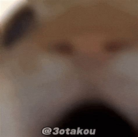 Genshin Sex Frequency R Okbuddygenshin