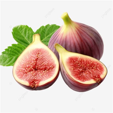 달콤하다 육즙이 맛있다 천연 친환경 제품 그래프 무화과 이국적인 열렬한 Png 일러스트 및 이미지 에 대한 무료 다운로드 Pngtree