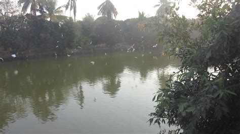 พระอาจารย์พิชญ์ ถาวโร ให้พรบทสวดโพชฌังคปริตร บทสวดโพชฌังคปริตร เป็นคาถาพุทธมนต์เสริมสิริมงคล ที่