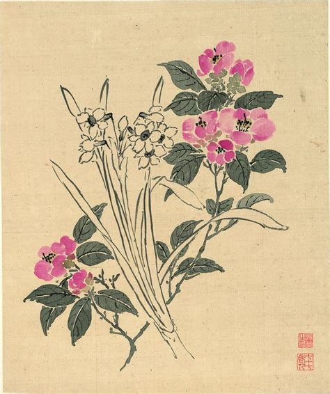 中國畫花鳥作品清 楊晉 花鳥冊頁 每日頭條