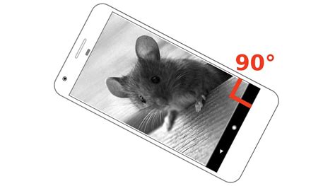 High Precision Coding In Visual Cortex