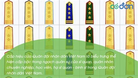 Hệ Thống Cấp Bậc Quân Hàm Quân đội Theo Quy định Mới Nhất