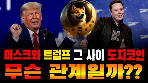 도지코인 일론 머스크의 영향력은 어디까지 국가 보다 위에 있다 2024년 미국 대선은 머스크 손에 도지 도지코인시세 도지코인가격 도지코인실시간 도지코인대응
