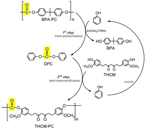 Concerning Synthesis Of New Biobased Polycarbonates With Curcumin In Replacement Of Bisphenol A