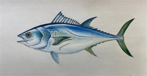 드로잉 레슨 비아트아뜰리에 윤영호작가 숨고 숨은고수